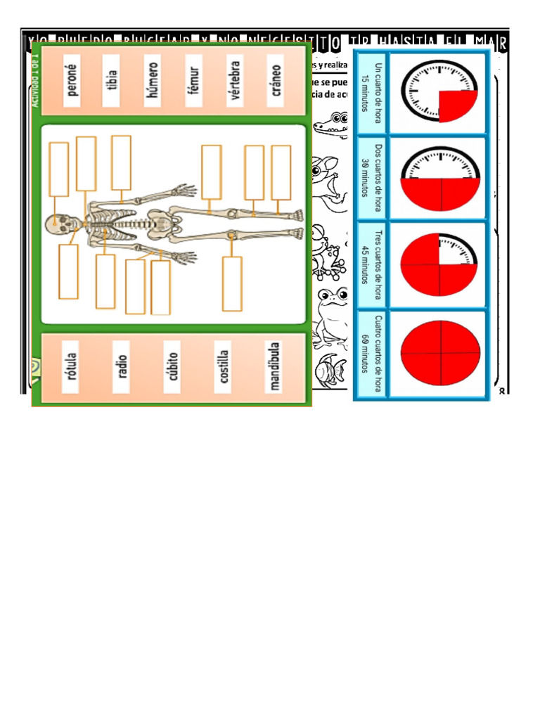 Anexos 7-18 de Octubre | PDF