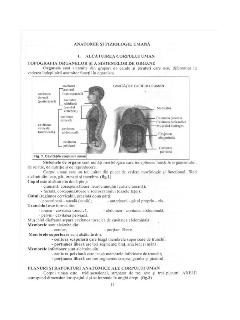 Biologie | PDF