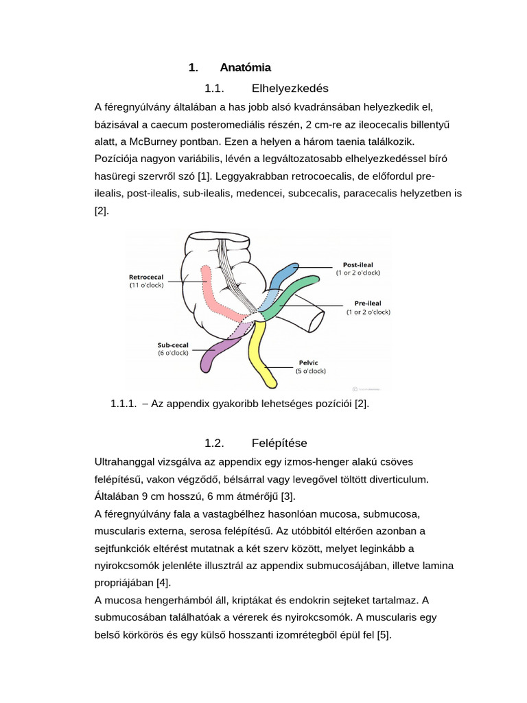 Appendicitis Anatómia 1 | PDF