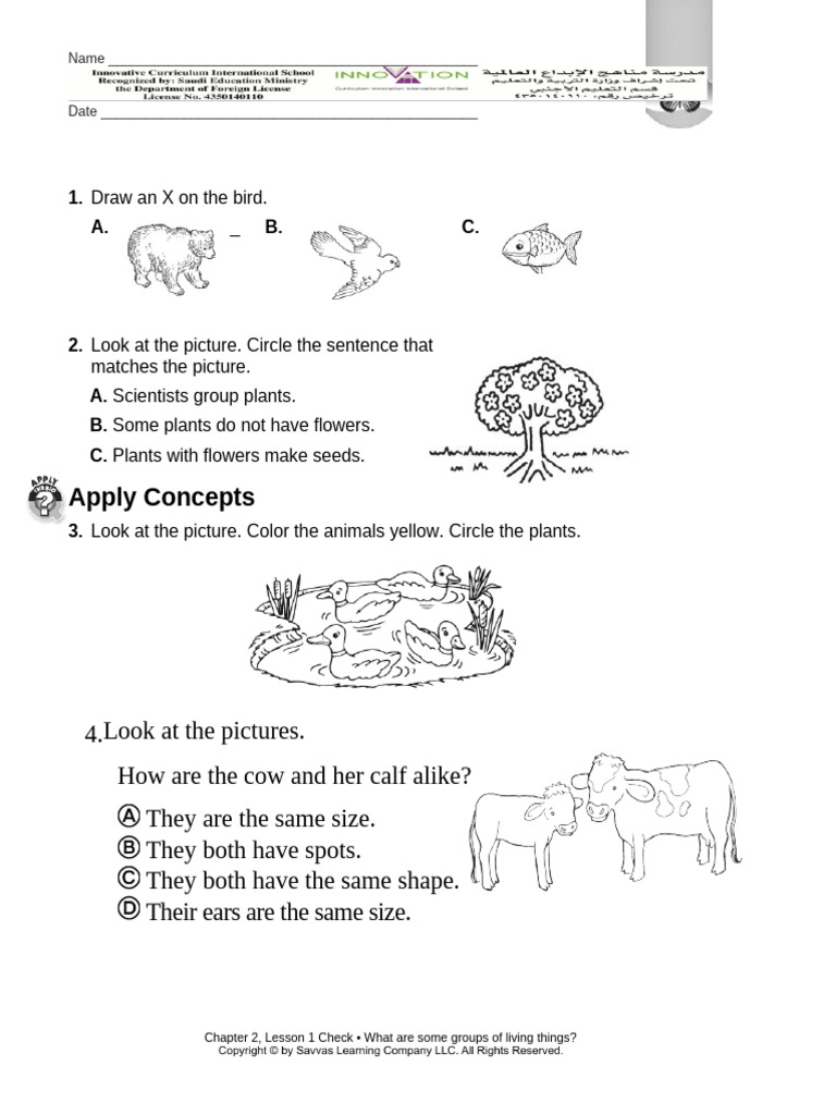 Week 13.science Worksheets (1C) | PDF