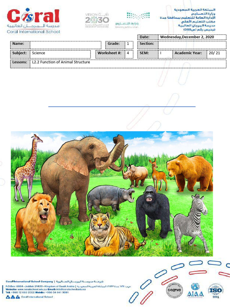 Em Functions of Animal Structures - Worksheet | PDF