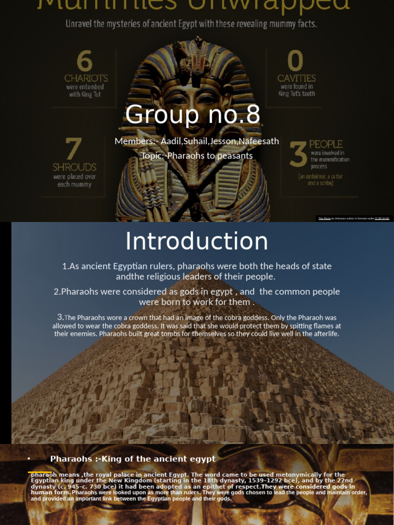 eng mummy project | PDF