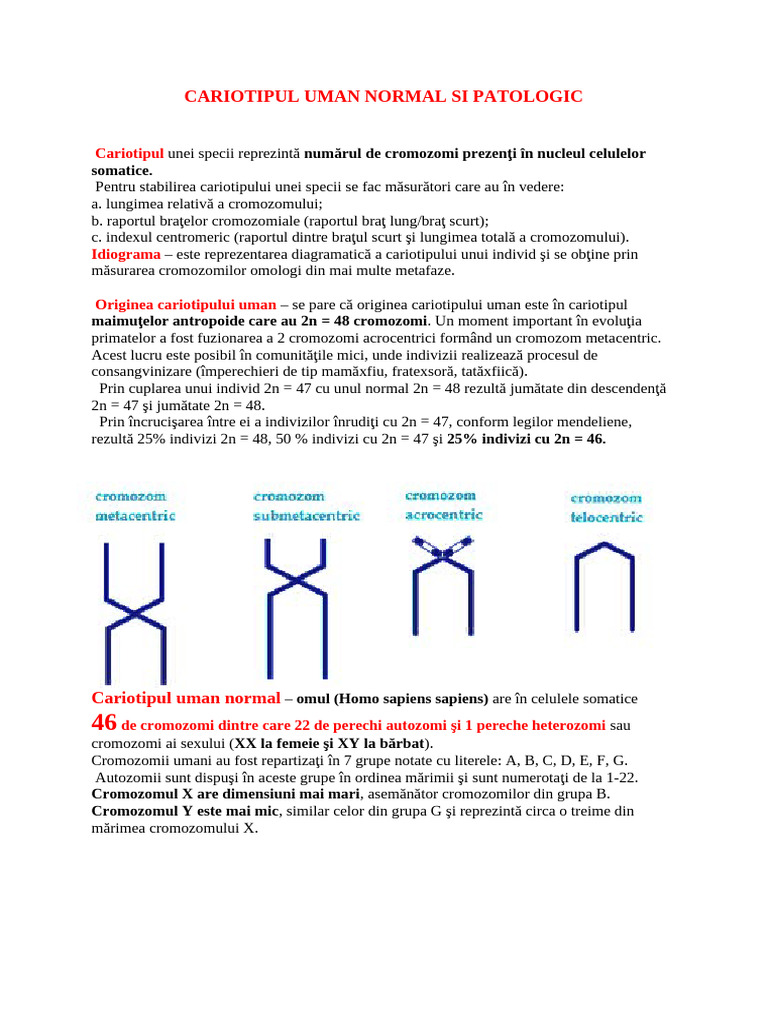 CARIOTIPUL UMAN NORMAL SI PATOLOGIC - Partea I | PDF