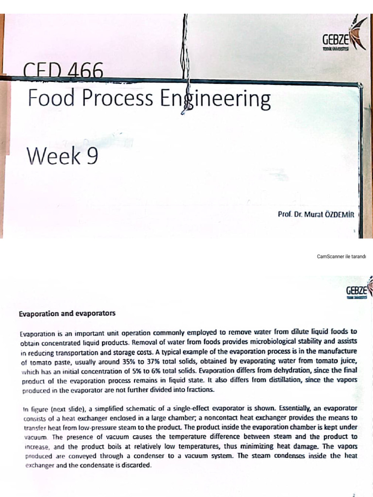 Food Process 6 | PDF