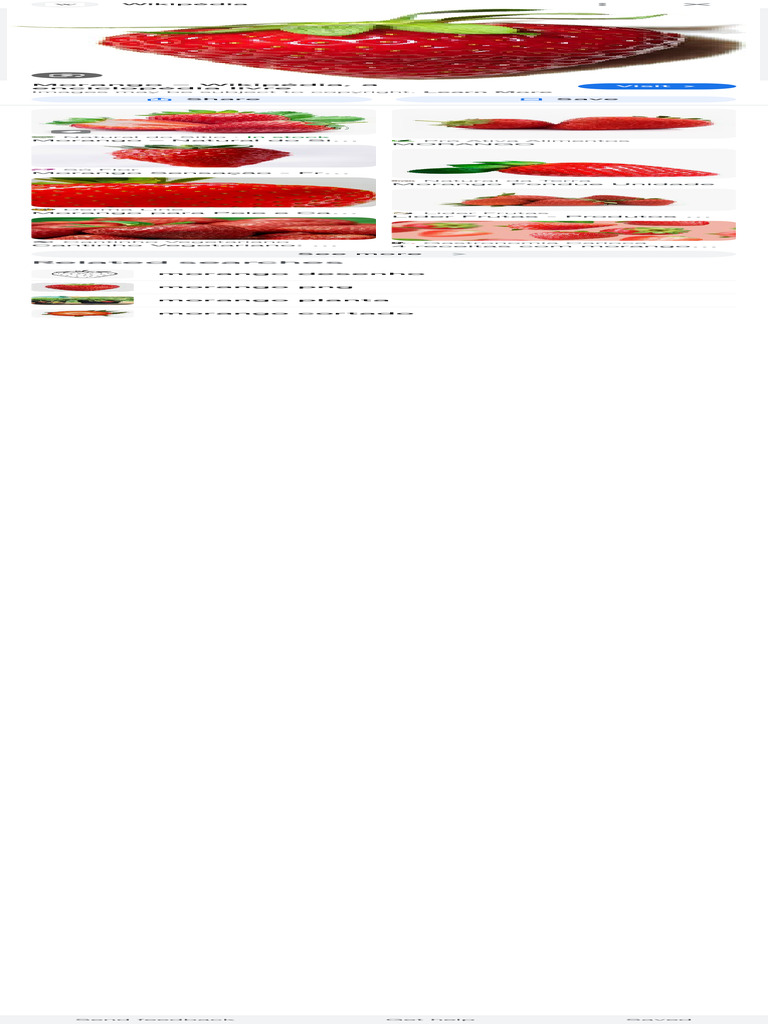 Morango - Google Search | PDF