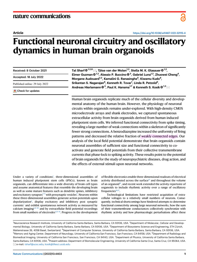 Functional Neuronal Circuitry | PDF
