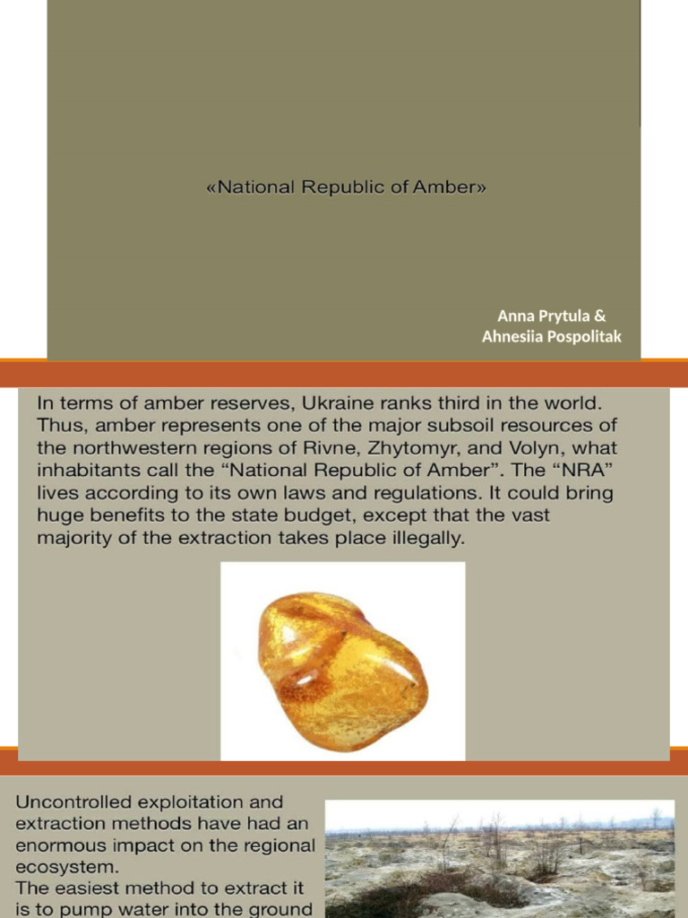 National Republic of Amber | PDF