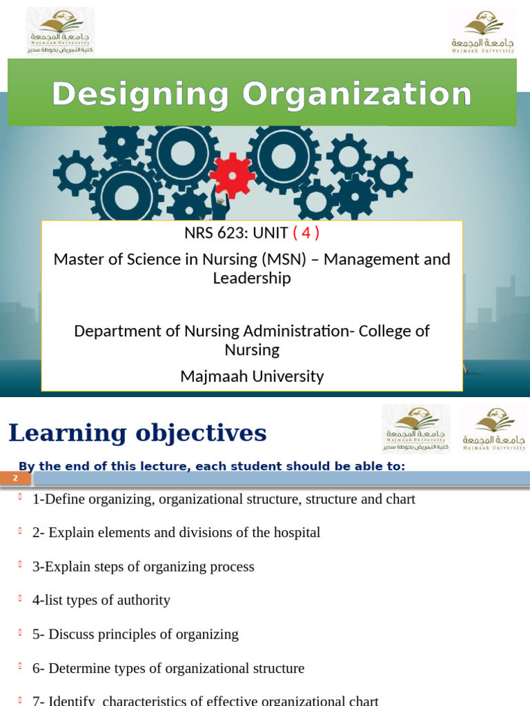 Designing Organization | PDF | Hospital | Business