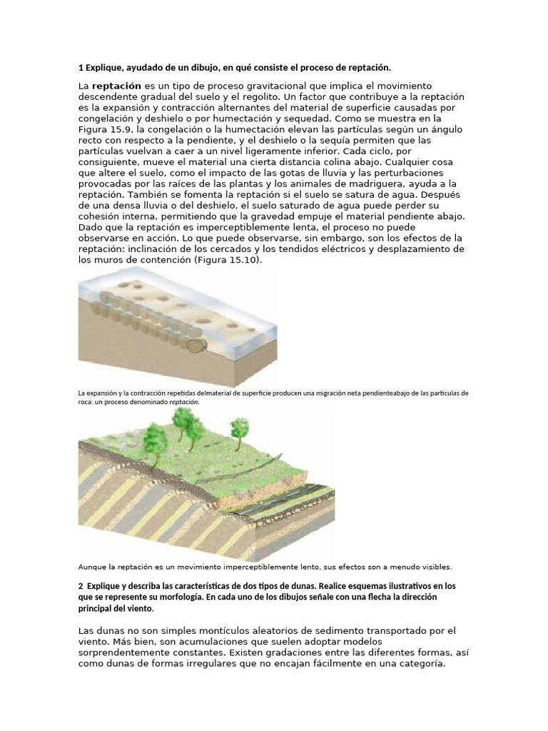 Proceso de Reptación (Geología II UNED) | PDF