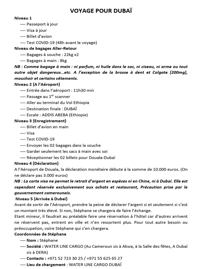 voyage pour dubai | PDF