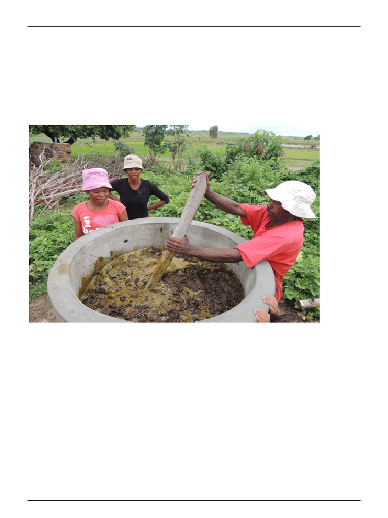 Le Compost Liquide | PDF | Home & Garden | Science & Mathematics