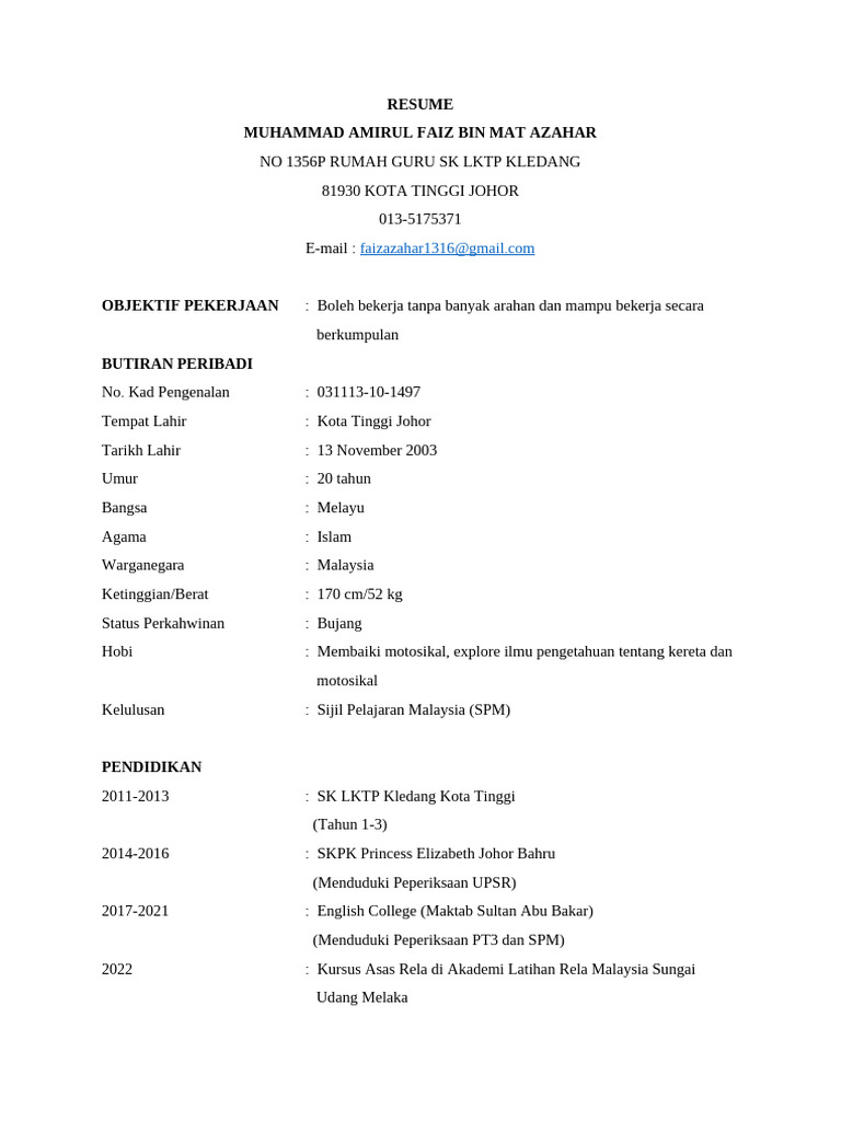 Resume Muhammad Amirul Faiz | PDF