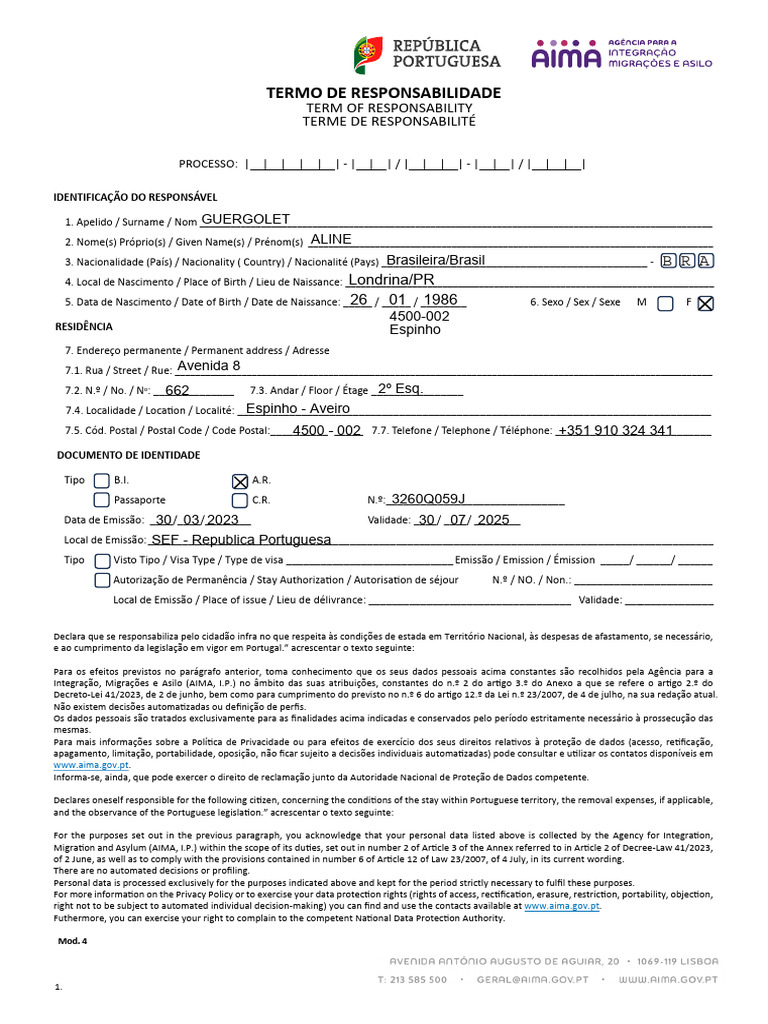 9-Novo Termo de Responsabilidade - AIMA - Amauri | PDF