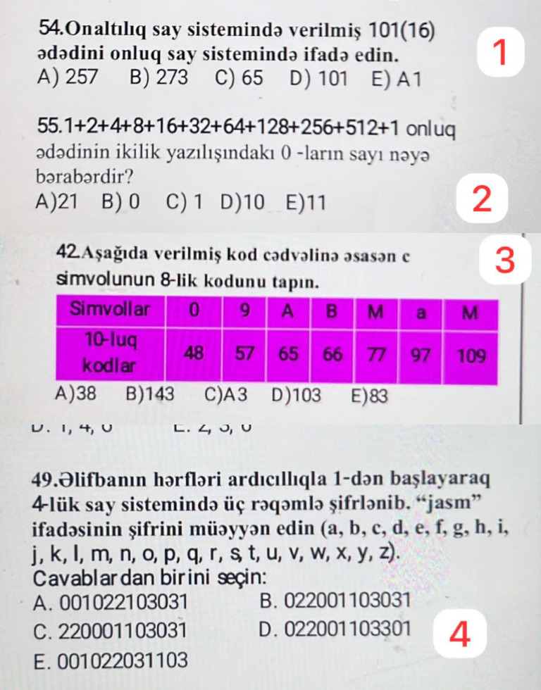 Sinif Tapşırıqları 11-Ci Sinif | PDF