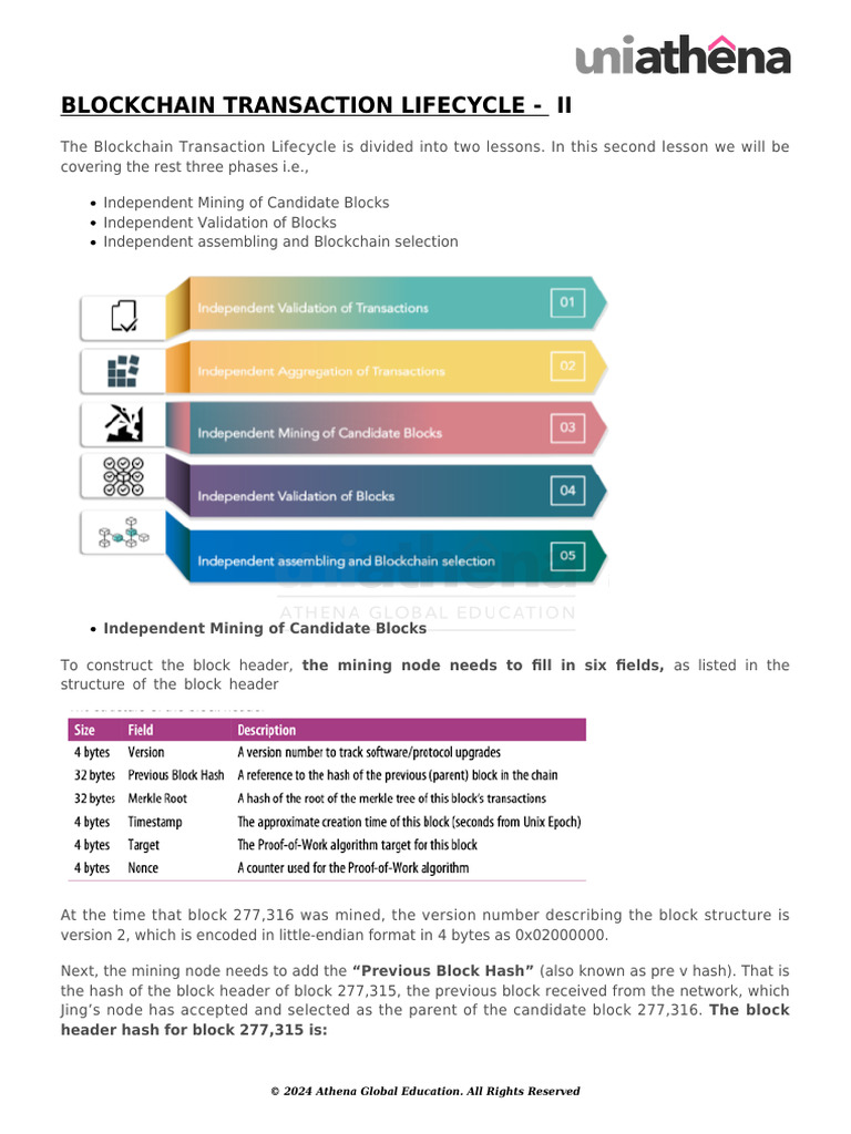 Blockchain Transaction Lifecycle - II | PDF