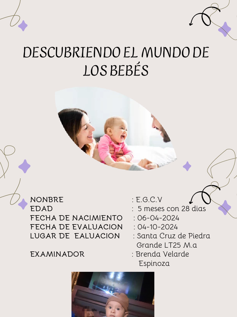 Descubriendo el mundo de los bebés | PDF