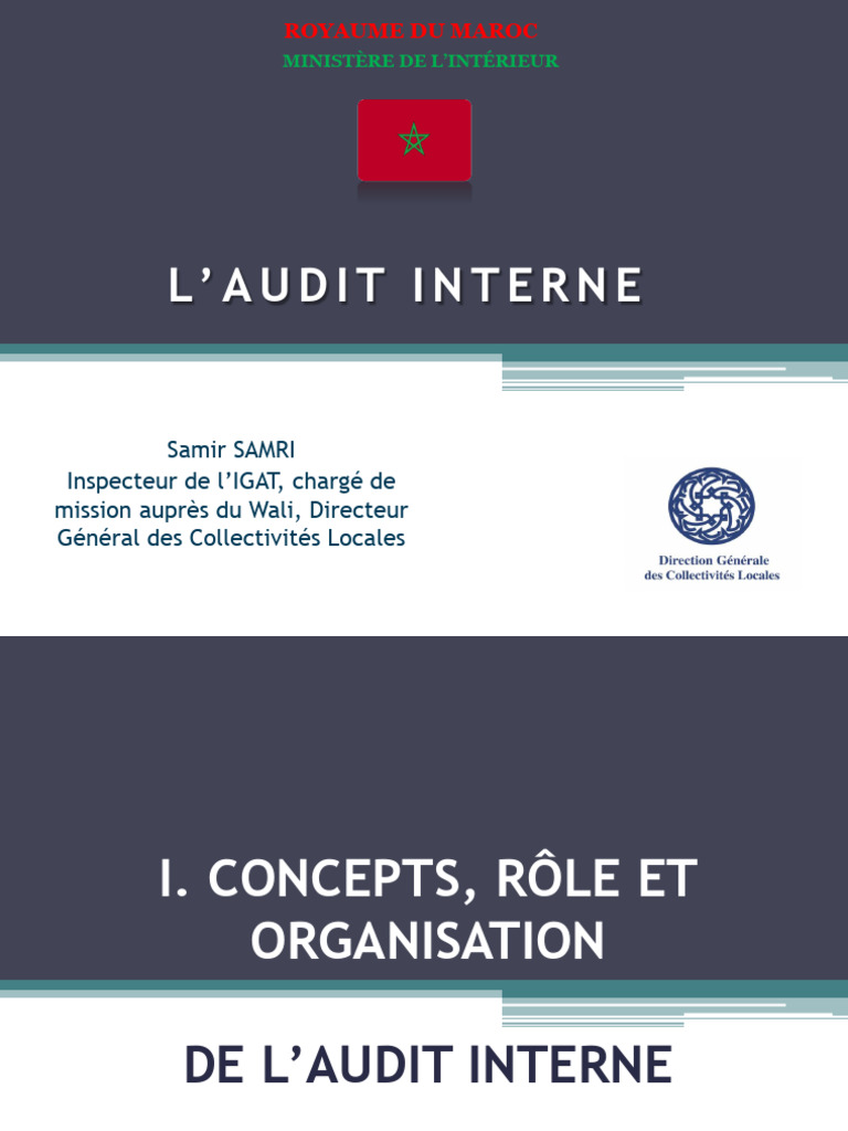 L'audit Interne | PDF
