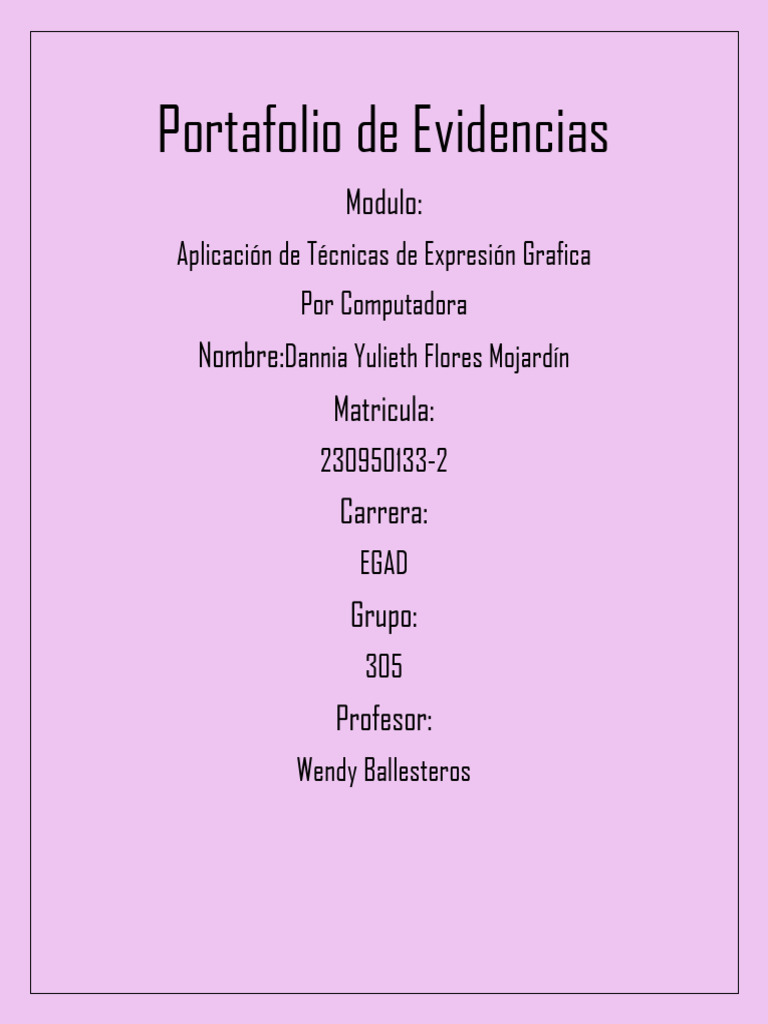 Portafolio Virtual Dyfm | PDF