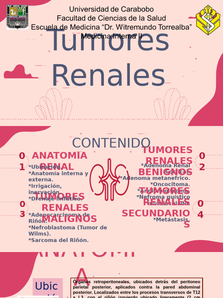 Tumores Renales: Tipos y Anatomía | PDF | Riñón | Anatomía