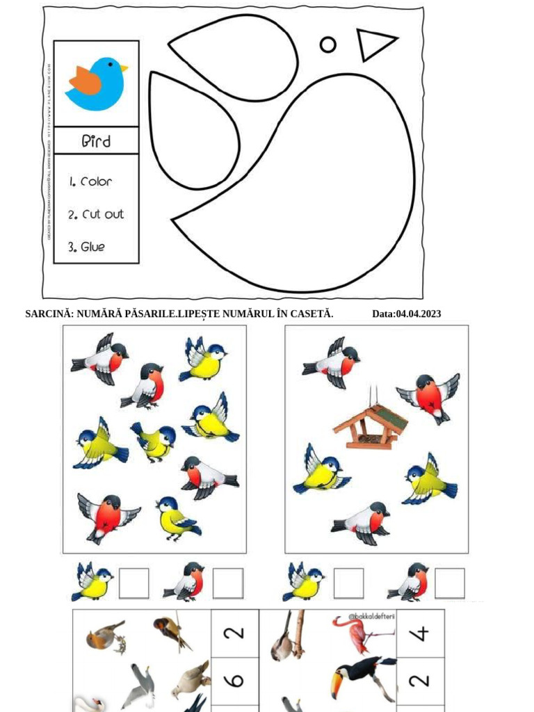 Pasari Sedentare | PDF