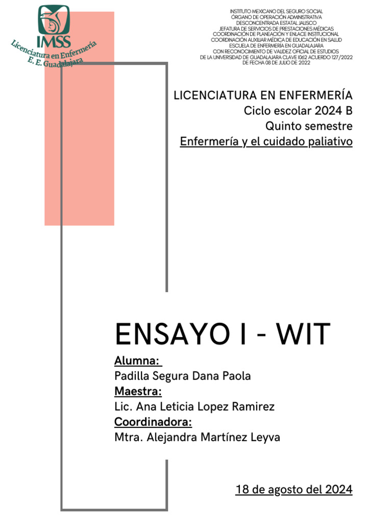 Ensayo película WIT | PDF