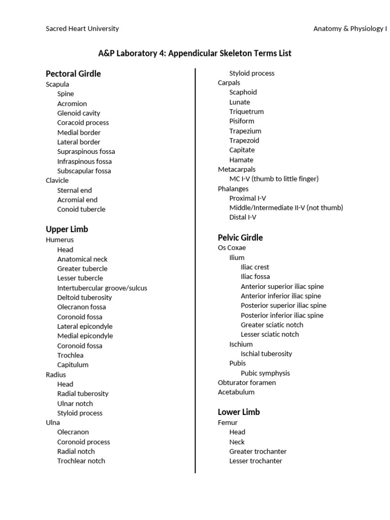 2. Lab 4 Terms List (1) | PDF