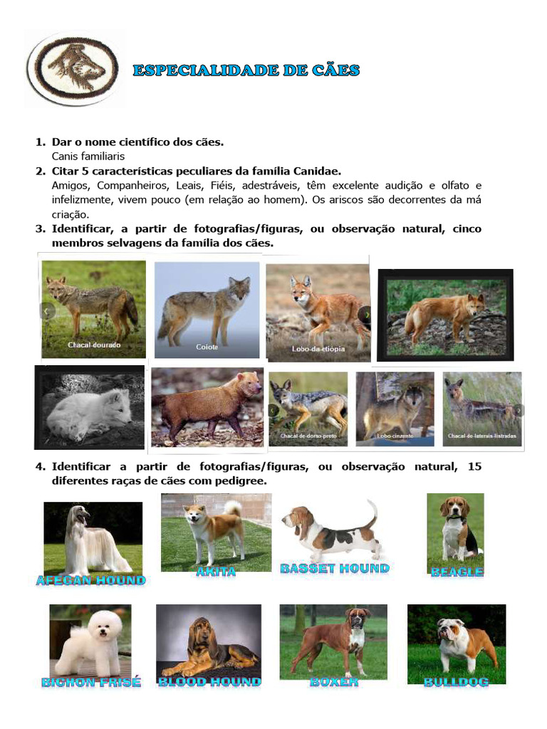 Especialidade de Cães | PDF