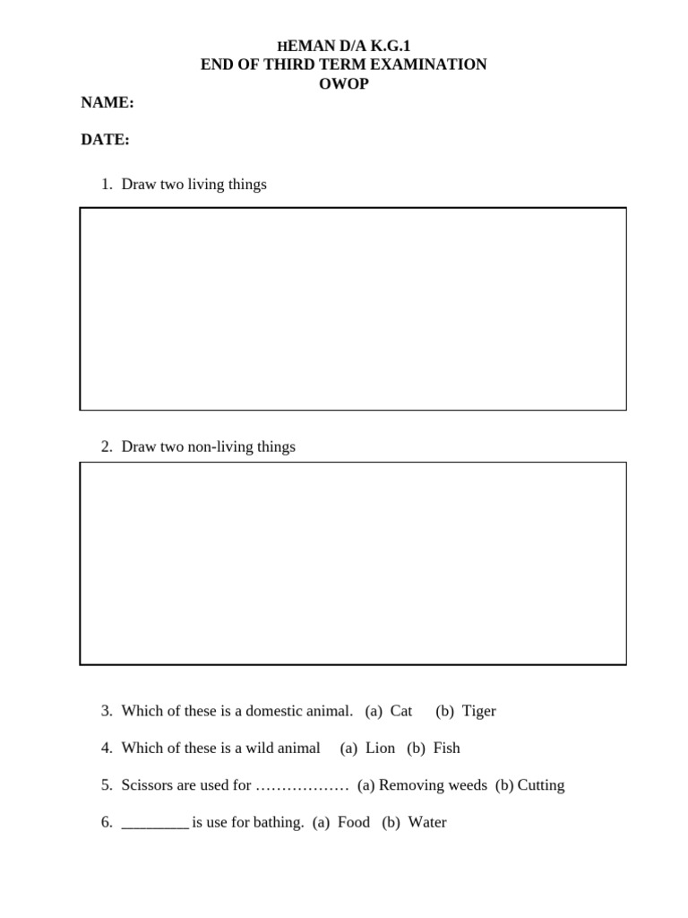 OWOP | PDF