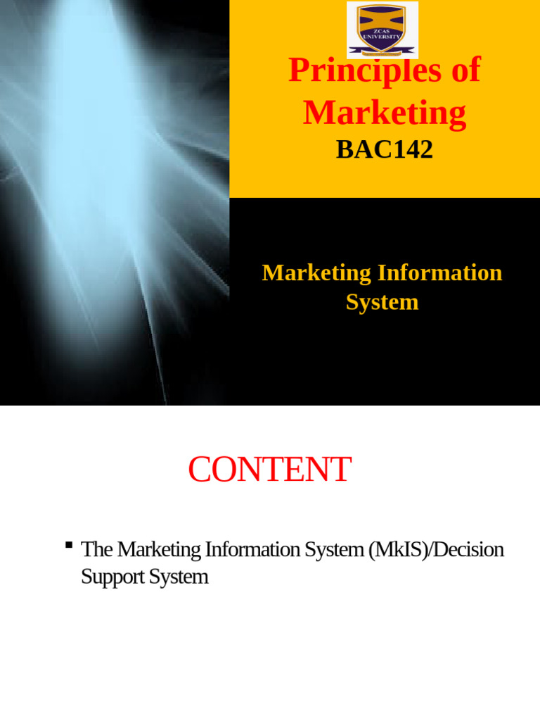 Marketing Information System | PDF