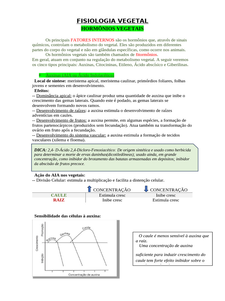 Fisio:morfo Vegetal | PDF