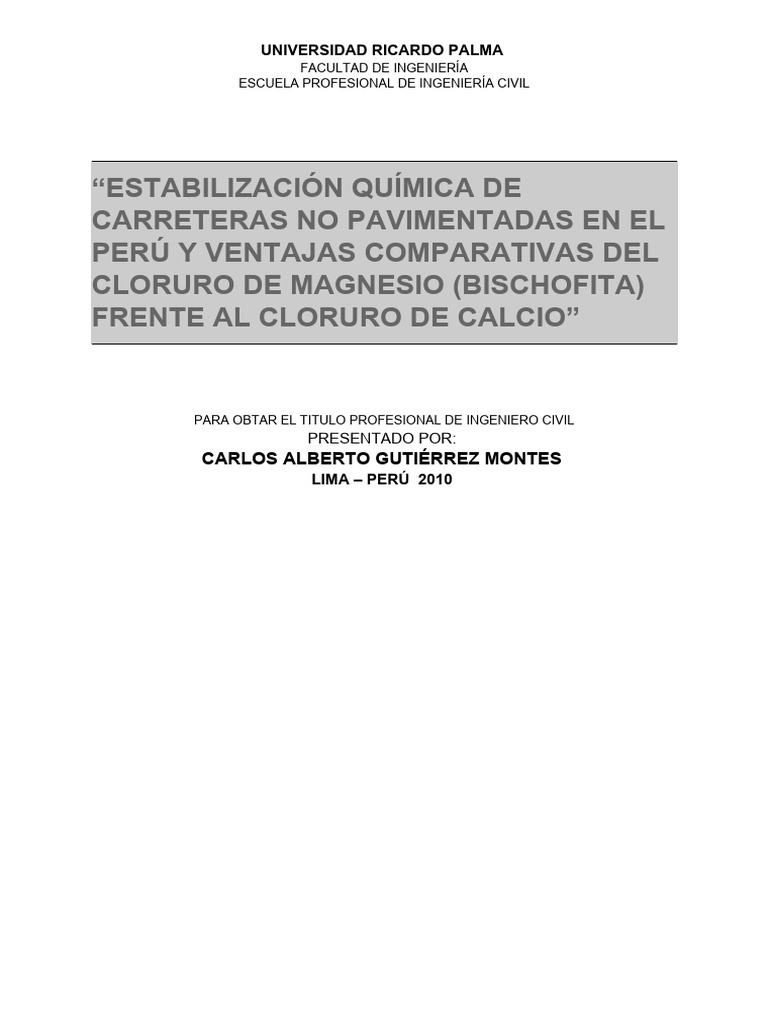 TSIS - Bischofita Vs Cal2 (Peru) Gutierrez - 02 | PDF