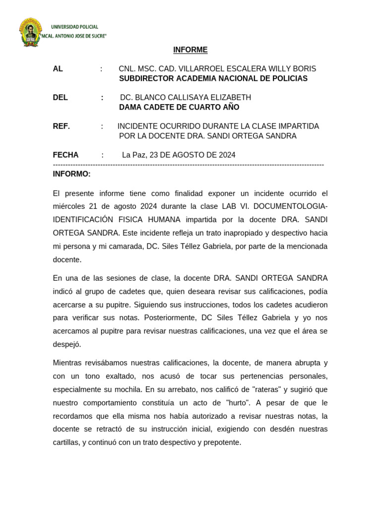 Informe Ejemplo | PDF
