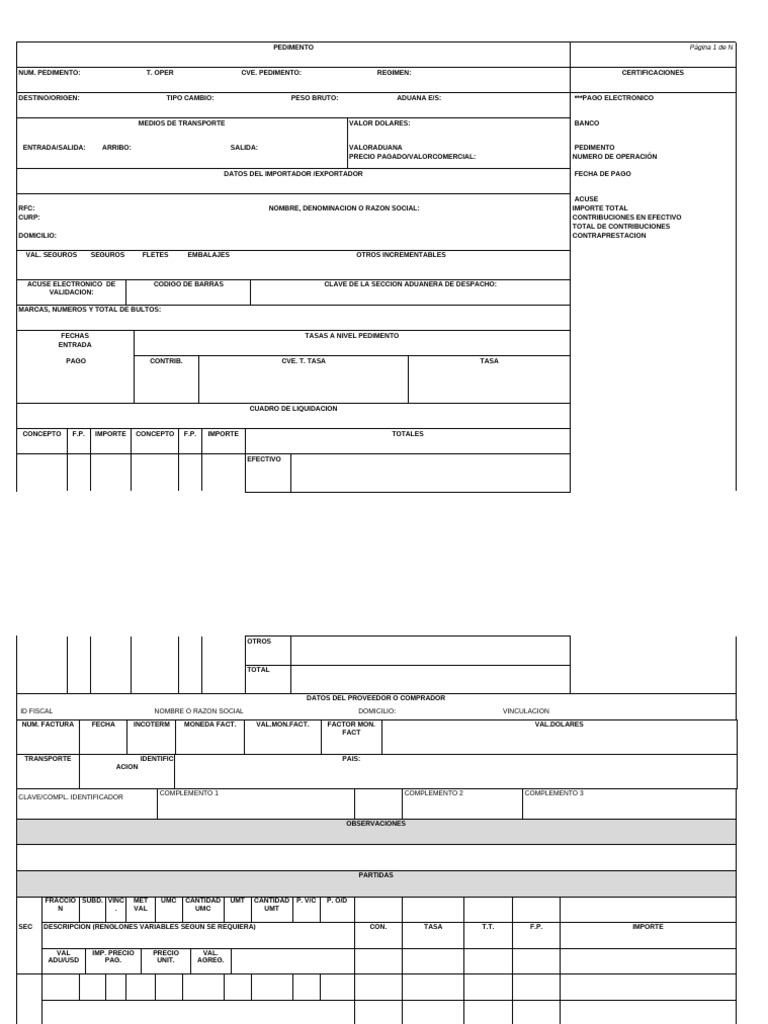 PEDIMENTO FORMATO.1-1 | PDF