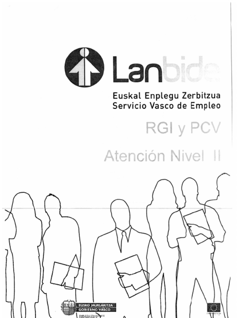Rgi PCV Nivel Ii | PDF