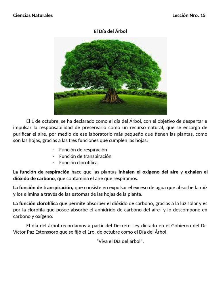 Día del Árbol: Importancia y Funciones | PDF