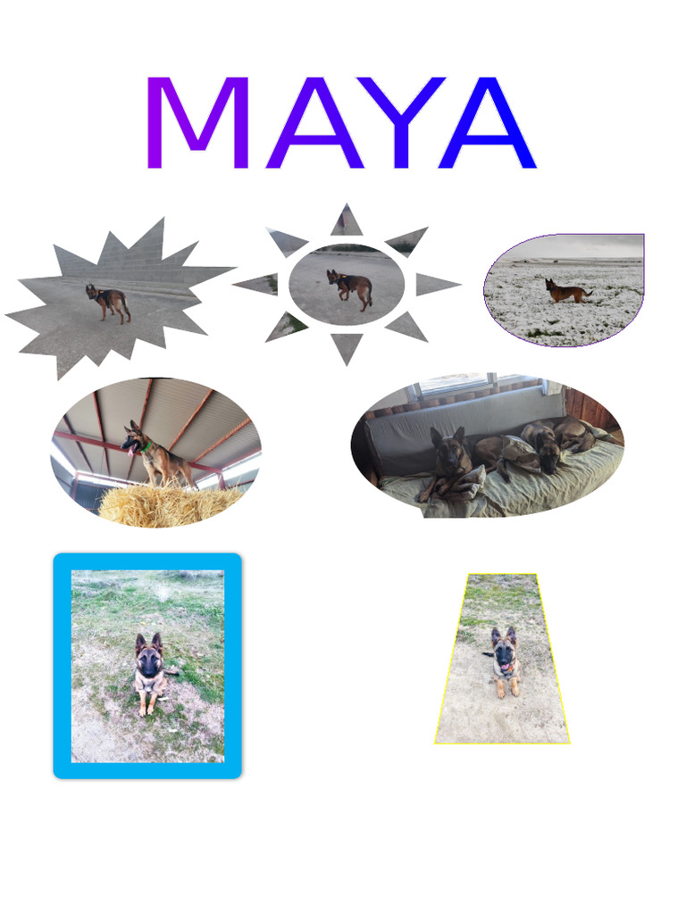 Colas Maya Sakura y Roma | PDF