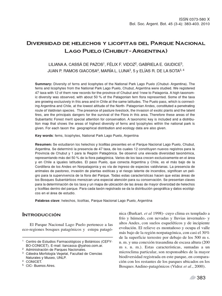 Seminario I - Cassa | PDF