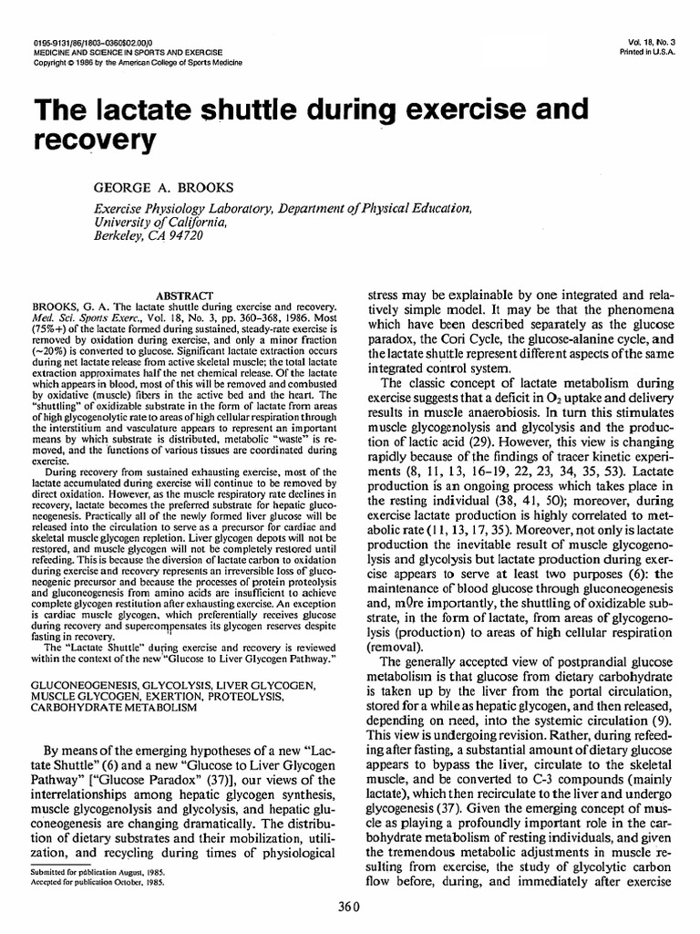 The Lactate Shuttle | PDF