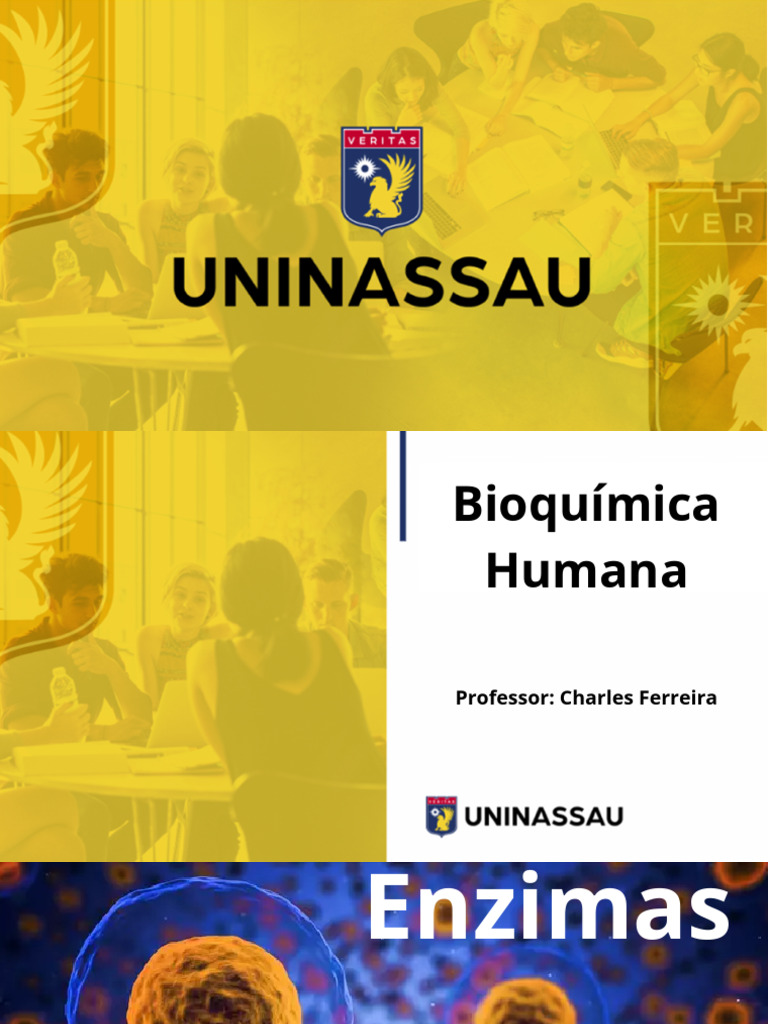 Bioquímica Humana - Enzimas Aula 05 | PDF