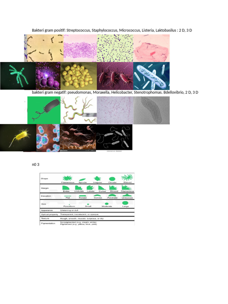 Gambar Tp Mikro Pdf