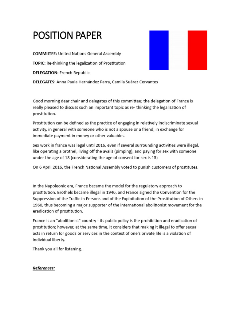 France Position Paper | PDF