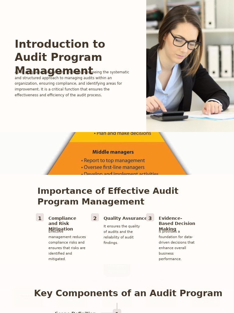 Introduction To Audit Program Management | PDF