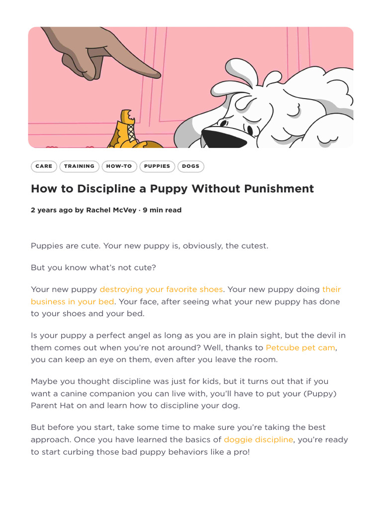 Dog Training | PDF