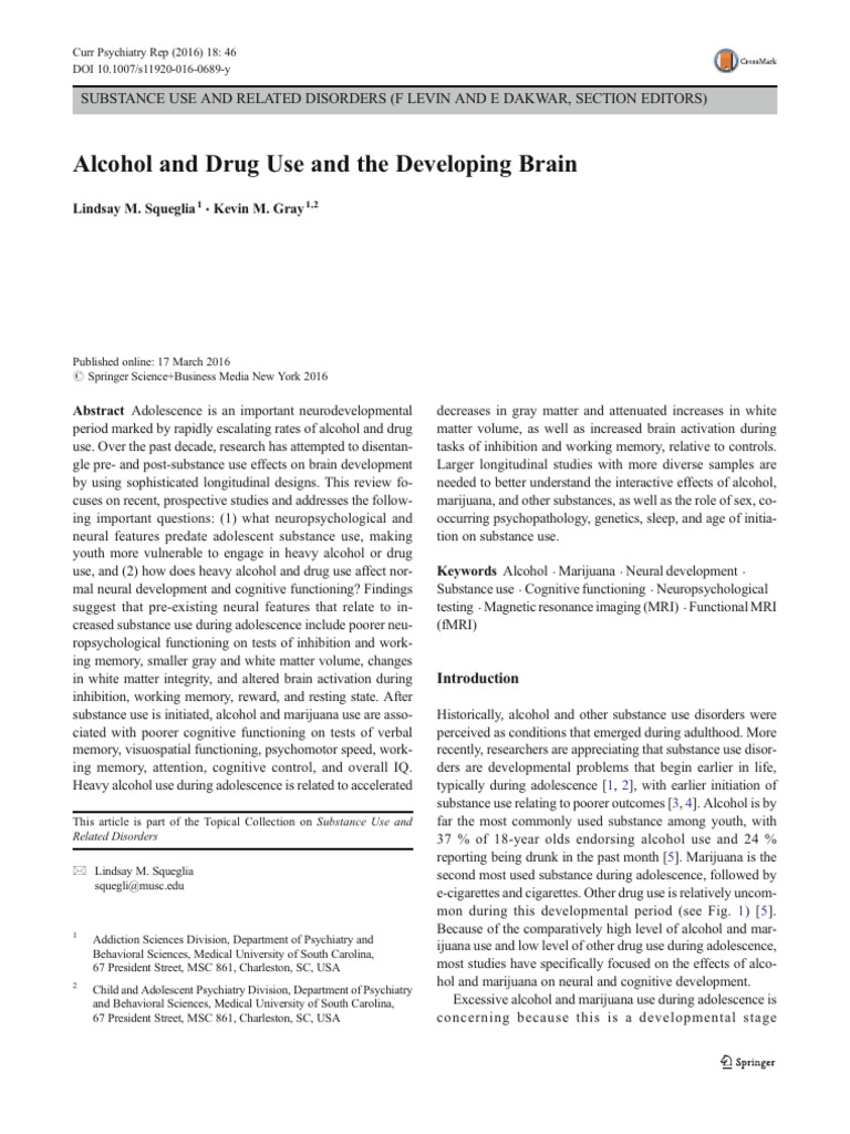 Alcohol AND The Brain | PDF