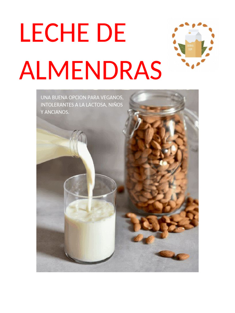 Leche de Almendras | PDF