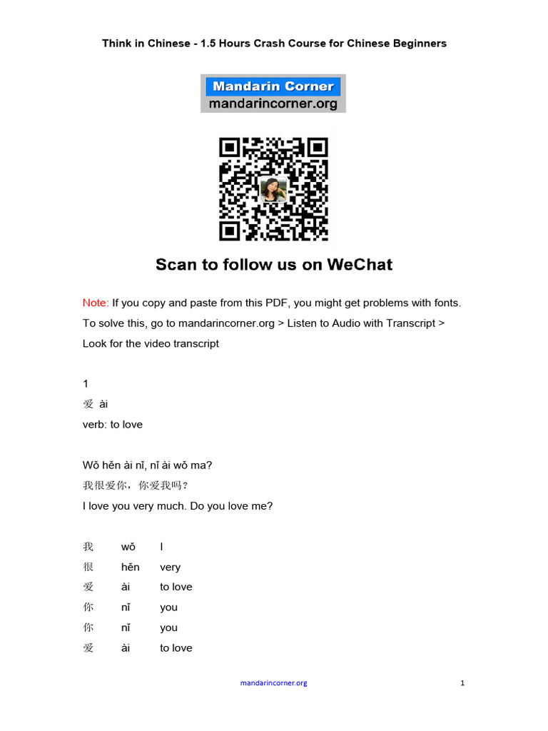 Think in Chinese Beginner Crash Course | PDF