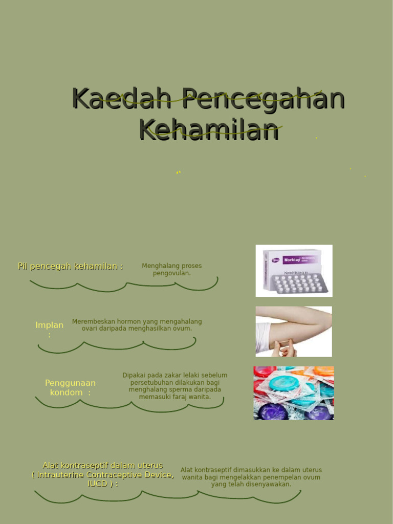 Presentation 4 | PDF