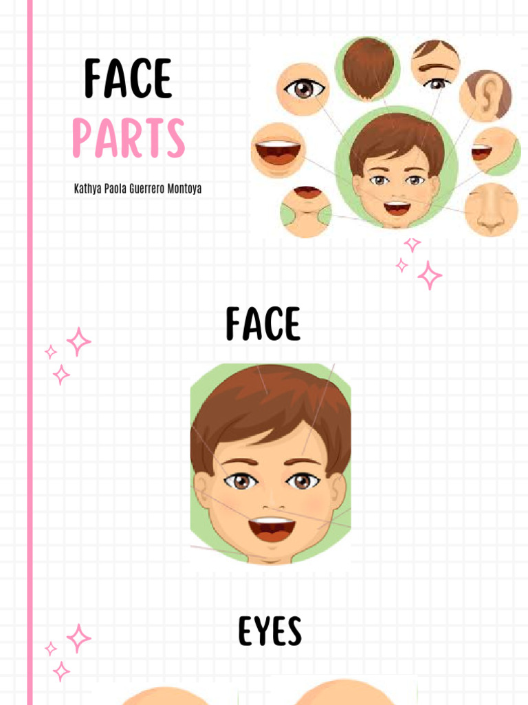 Anatomy of the Human Face Parts | PDF