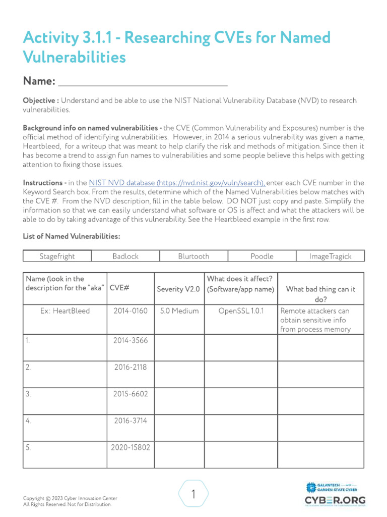 Cyber Vulnerability Activity | PDF