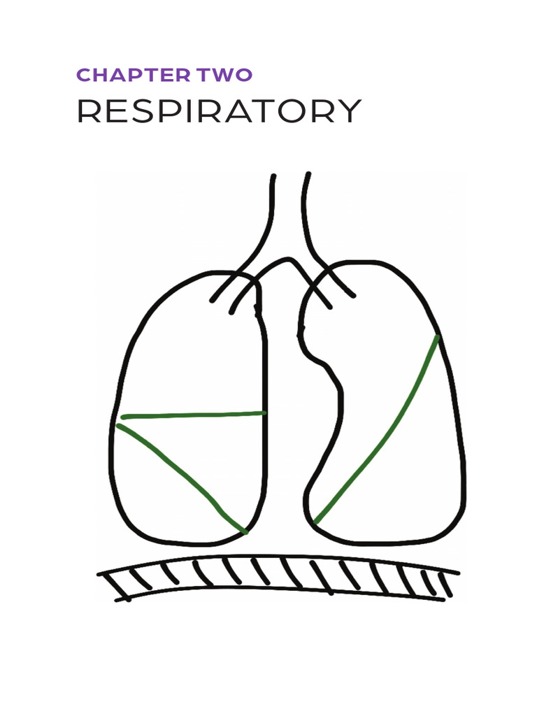 How_to_Draw_Anatomy_----_(CHAPTER_2_Respiratory) | PDF